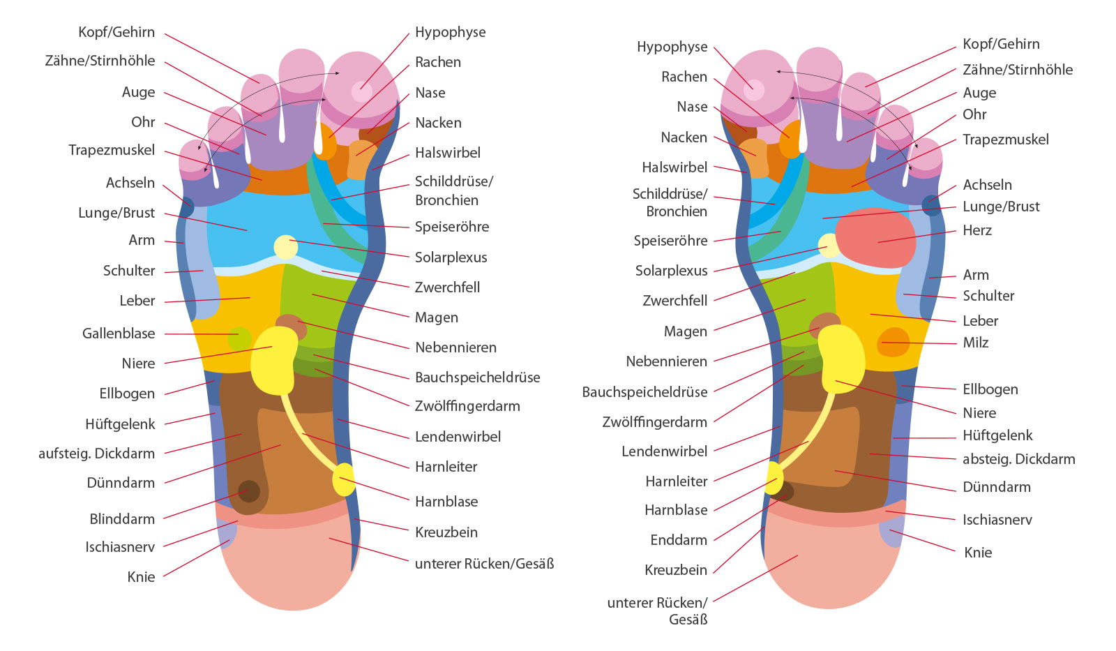 Fu reflexzonen Massage Herkunft Anwendertipps Fu reflexzonen Massage Herkunft Anwendertipps